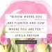50+ Quotes About Blooming Like a Flower - Resilient