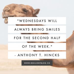 100+ Wednesday Quotes for a Happier Hump Day - Resilient