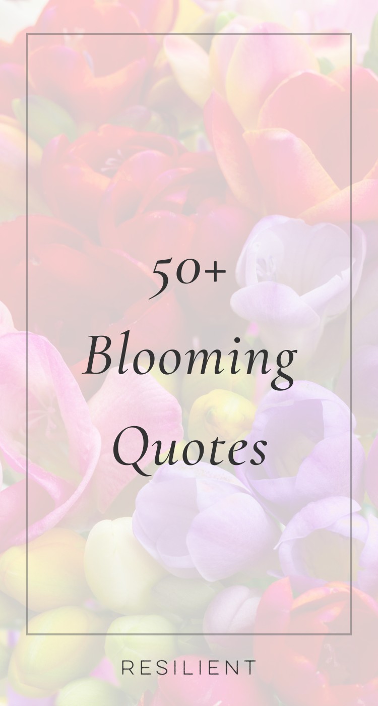 50+ Quotes About Blooming Like a Flower - Resilient