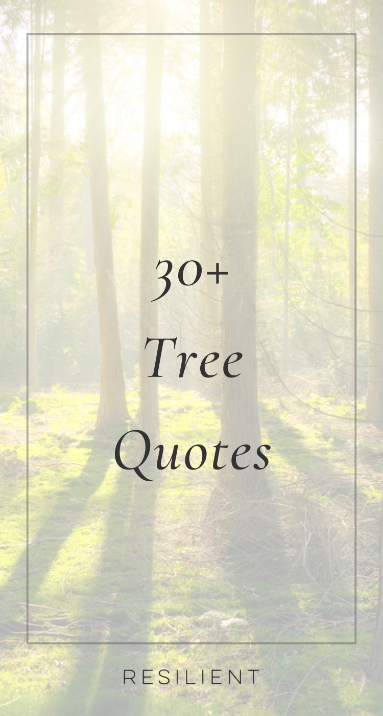 30+ Quotes About Trees and Forests - Resilient
